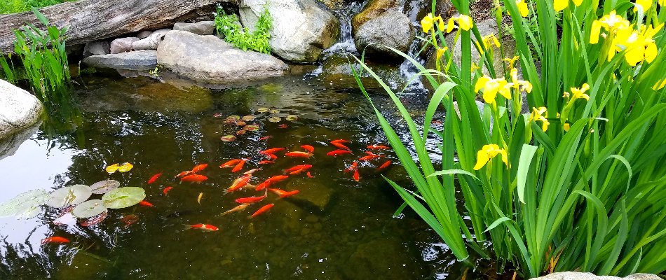 5 Beautiful Water Features That Can Enhance the Beauty of Your Property ...