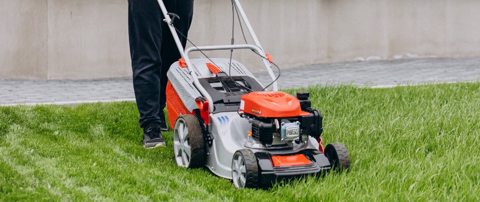 3 Things to Know Before Mowing Your Newly Sodded Lawn for the First ...