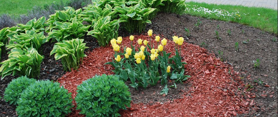 Do You Really Need to Refresh the Mulch in Your Landscape Beds Every ...