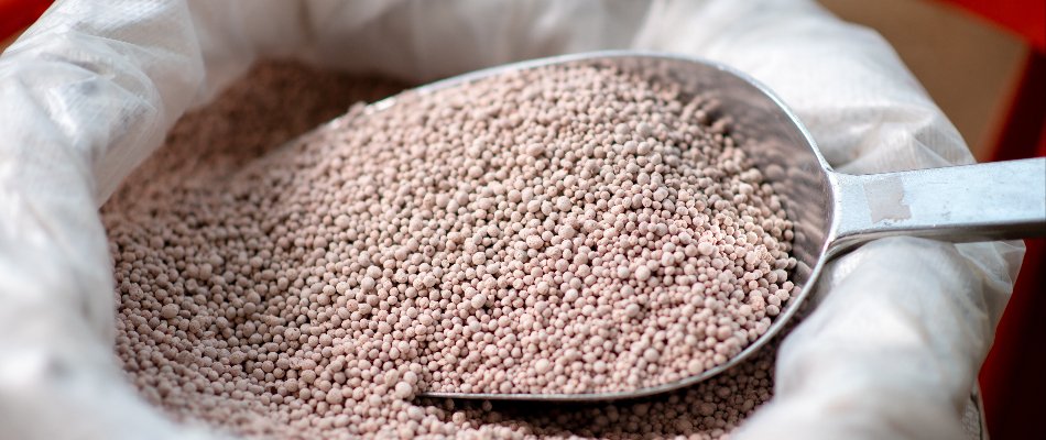 What Nutrients Are in Lawn Fertilizers & How Do They Help Your Grass ...