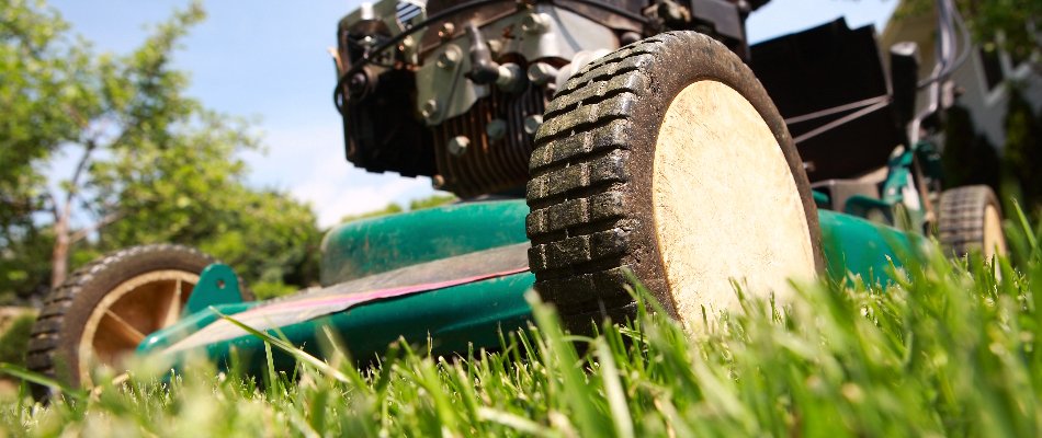 3 Things to Know Before Mowing Your Newly Sodded Lawn for the First ...
